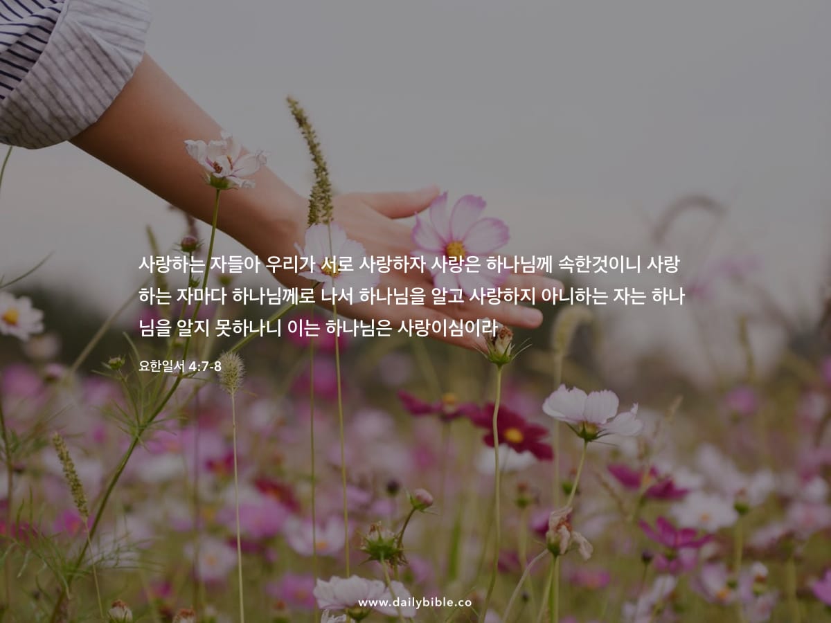 요한일서 4 7 8 매일의 성경말씀