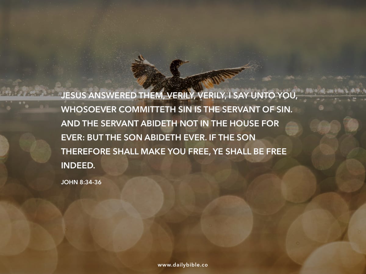 John 8 34 36 Daily Bible Inspirations john-8-34-36-daily-bible-inspirations