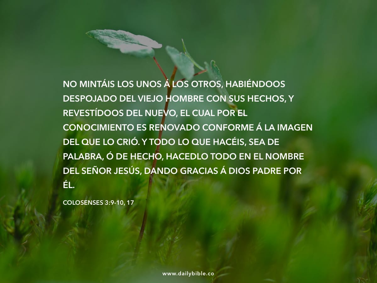 Colosenses 3 9 10 17 Inspiraciones Bíblicas Diarias