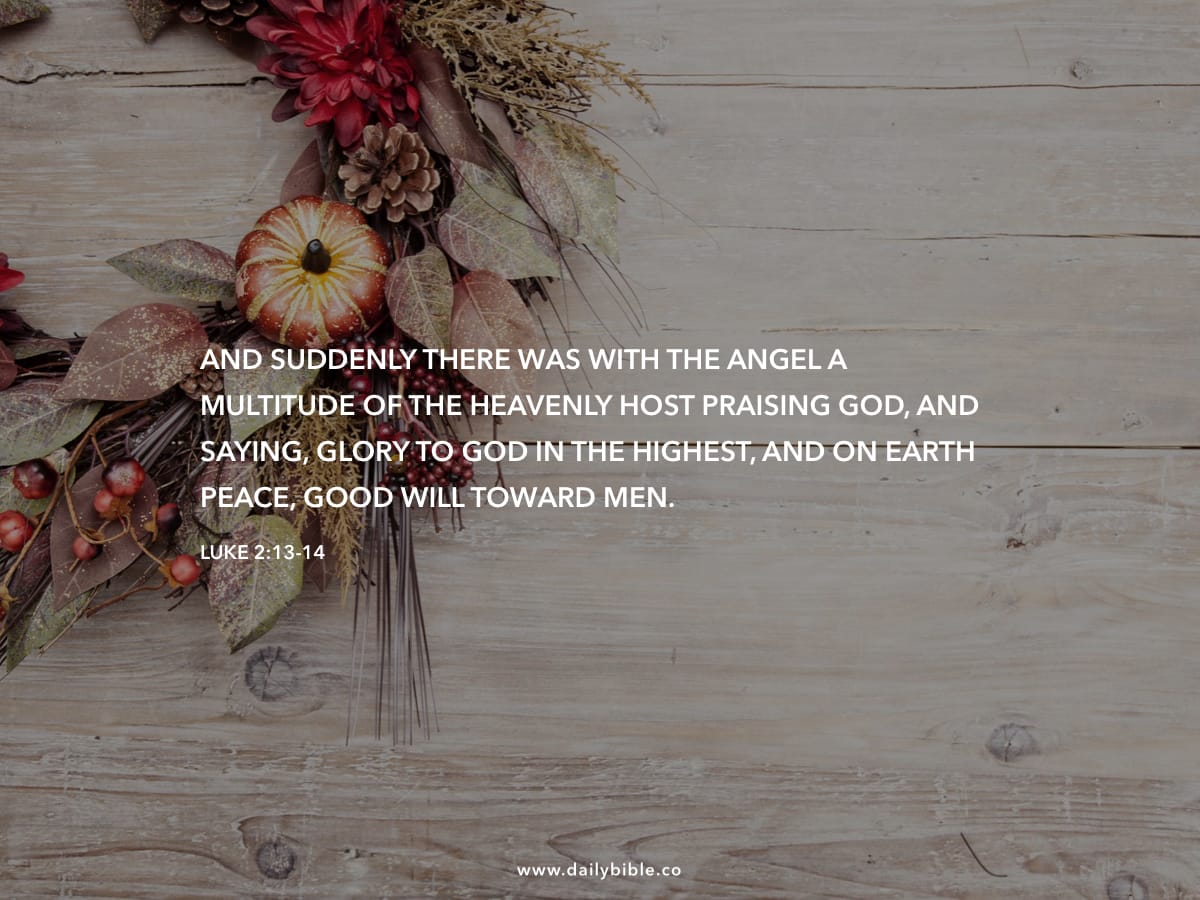 Luke 2 13 14 Daily Bible Inspirations Luke 2 13 14 Daily Bible Inspirations