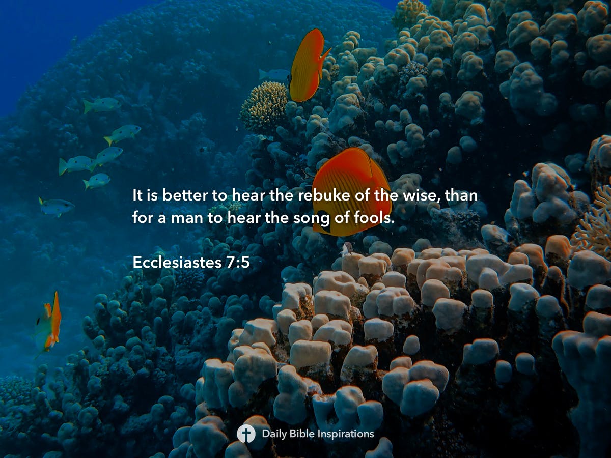 Ecclesiastes 7:5 - Daily Bible Inspirations