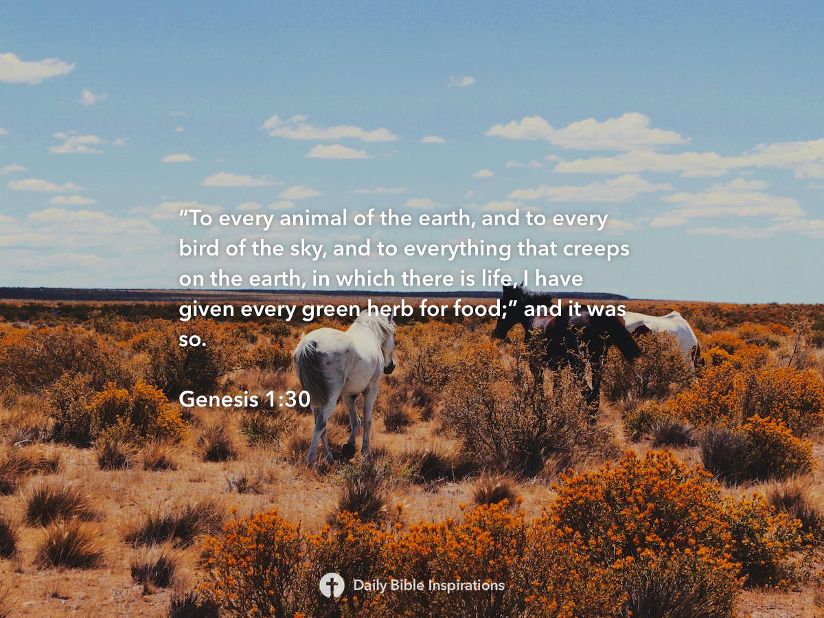 Genesis 1:30 - Daily Bible Inspirations