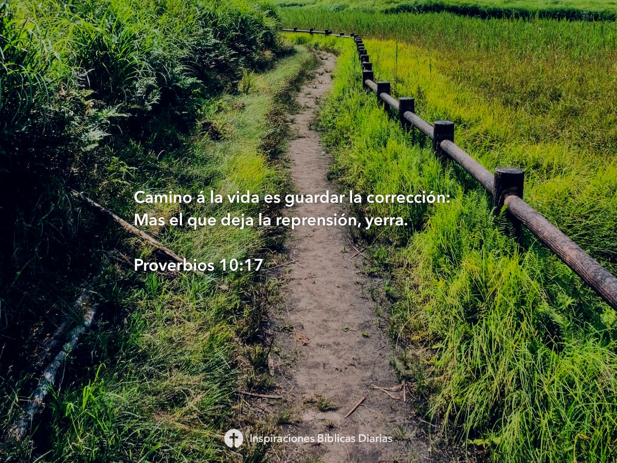 Proverbios 10:17 - Inspiraciones Bíblicas Diarias