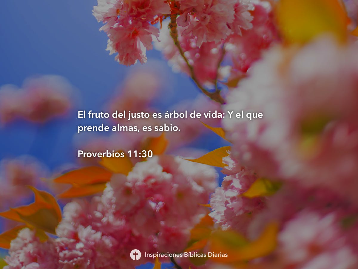 Proverbios 11:30 - Inspiraciones Bíblicas Diarias