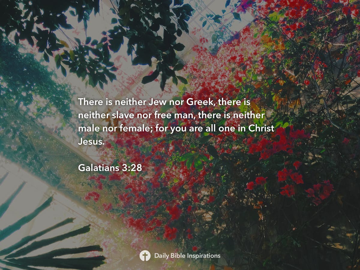 Galatians 3:28 - Daily Bible Inspirations