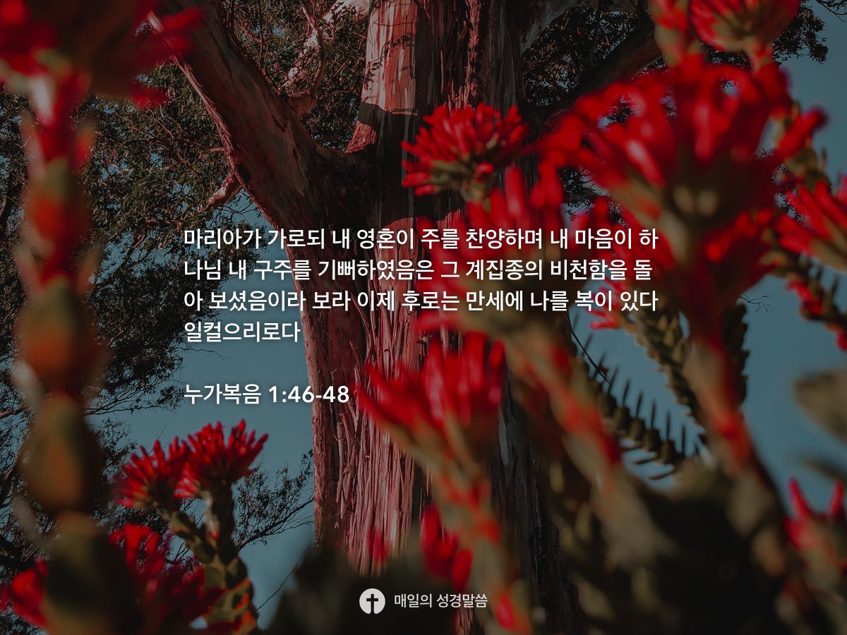 누가복음 1:46-48 - Daily Bible Inspirations