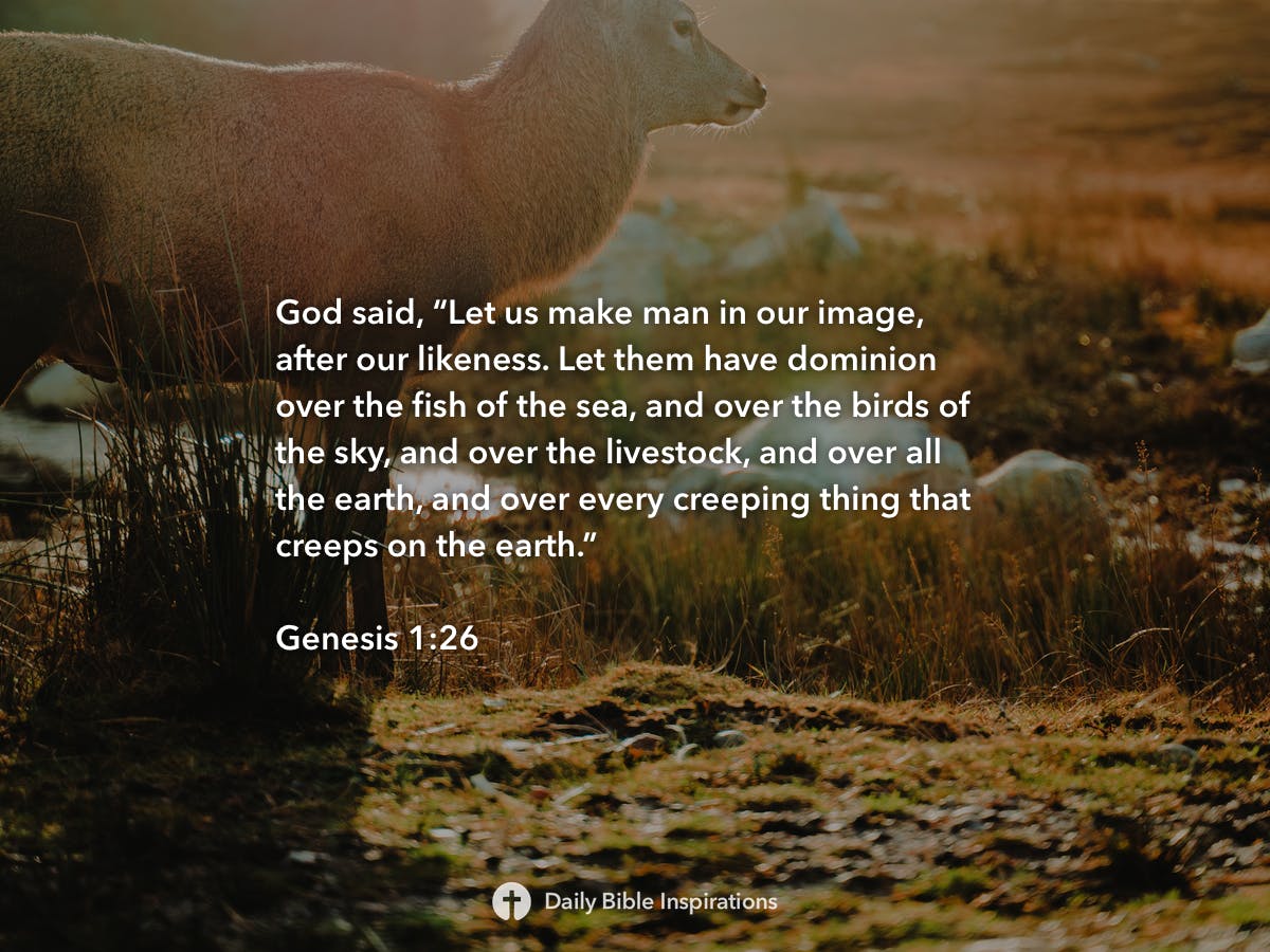 Genesis 1:26 | Daily Bible Inspirations