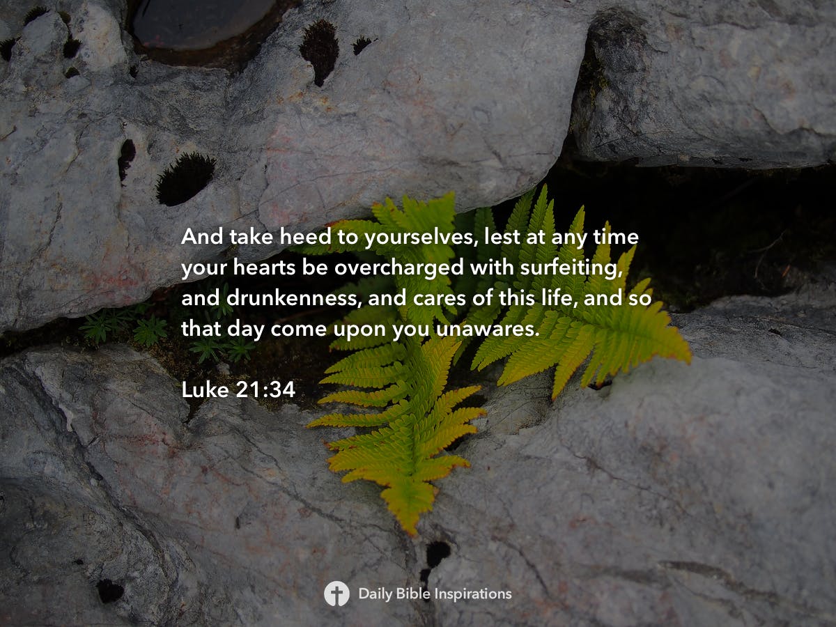 Luke 21:34 - Daily Bible Inspirations