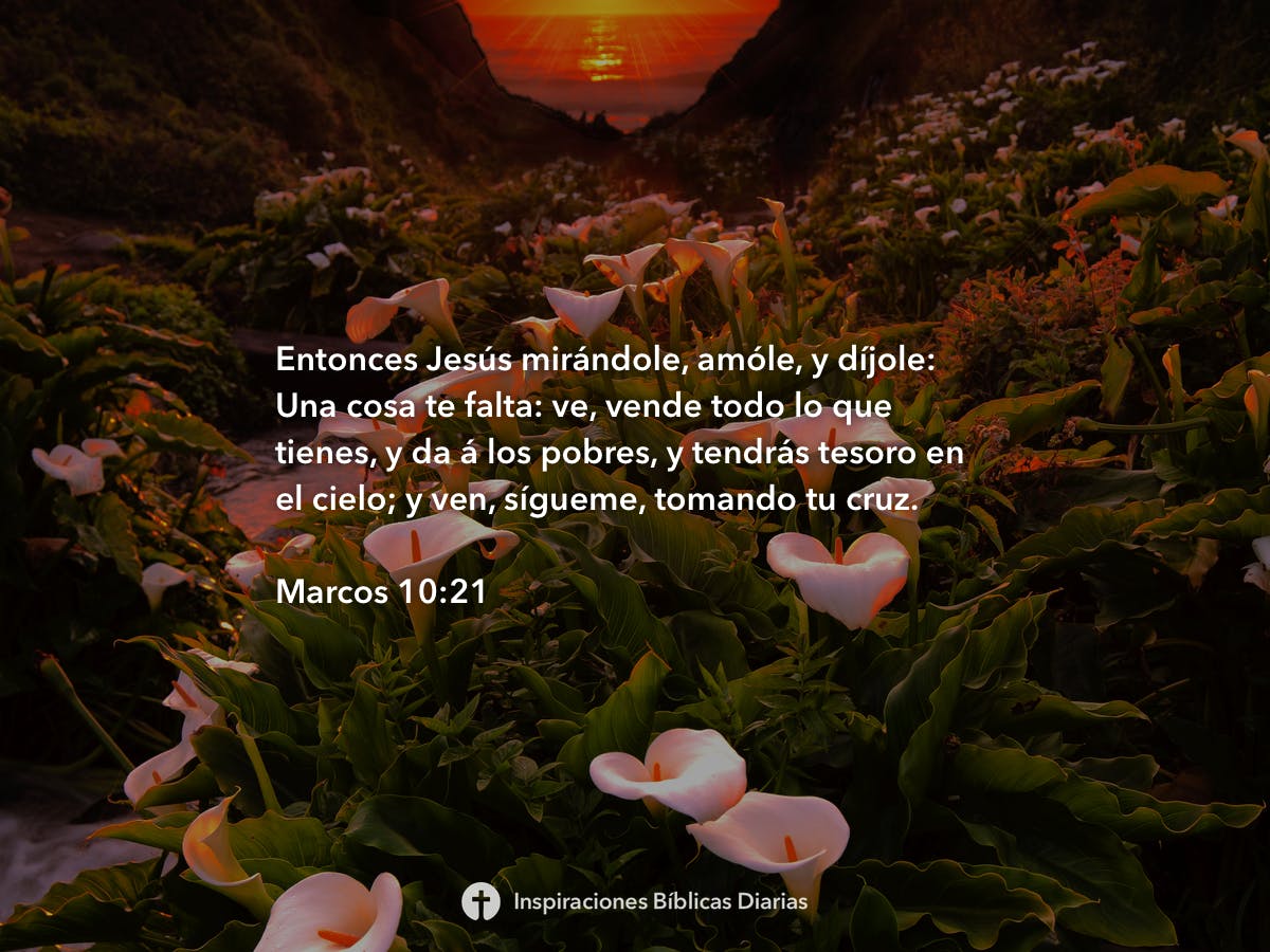 Marcos 10:21 | Inspiraciones Bíblicas Diarias