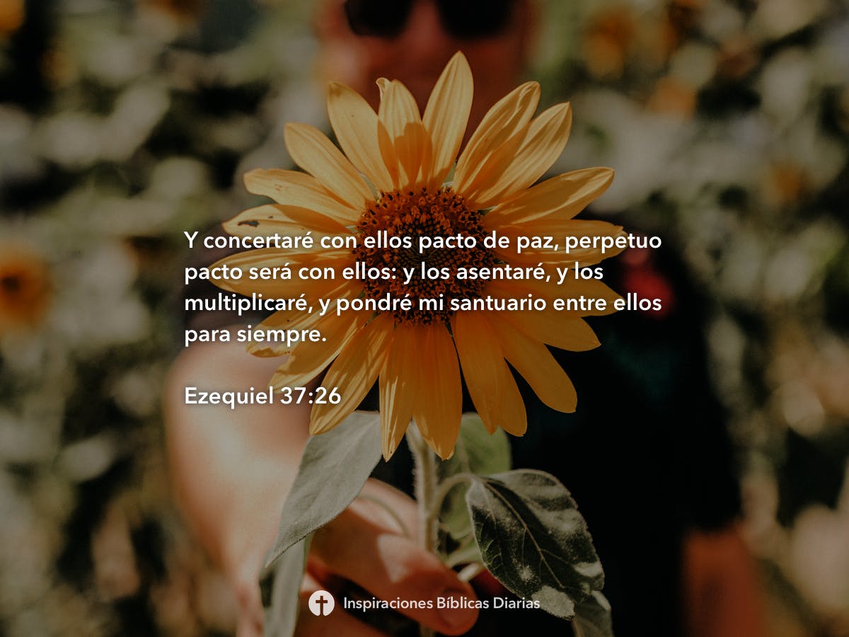 Ezequiel 37:26 - Inspiraciones Bíblicas Diarias