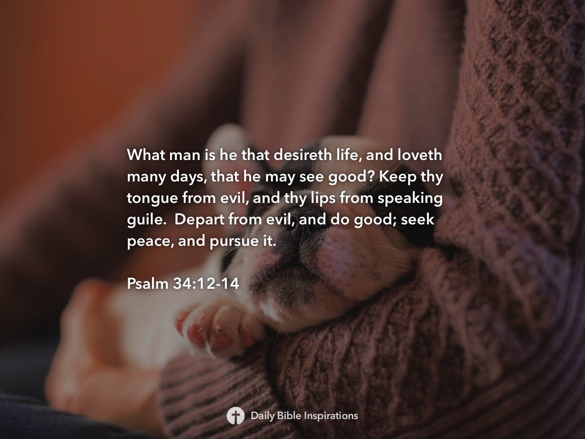 Psalm 34 12 14 Daily Bible Inspirations