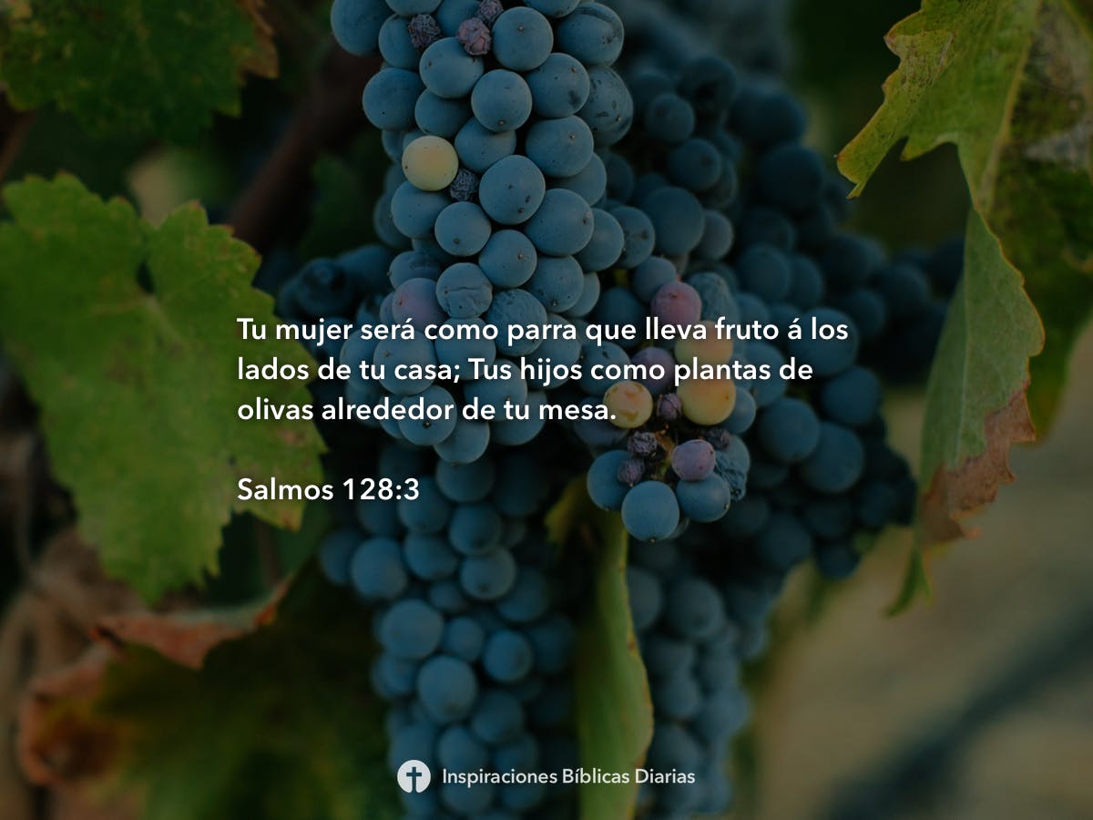 Salmos 128:3 - Inspiraciones Bíblicas Diarias