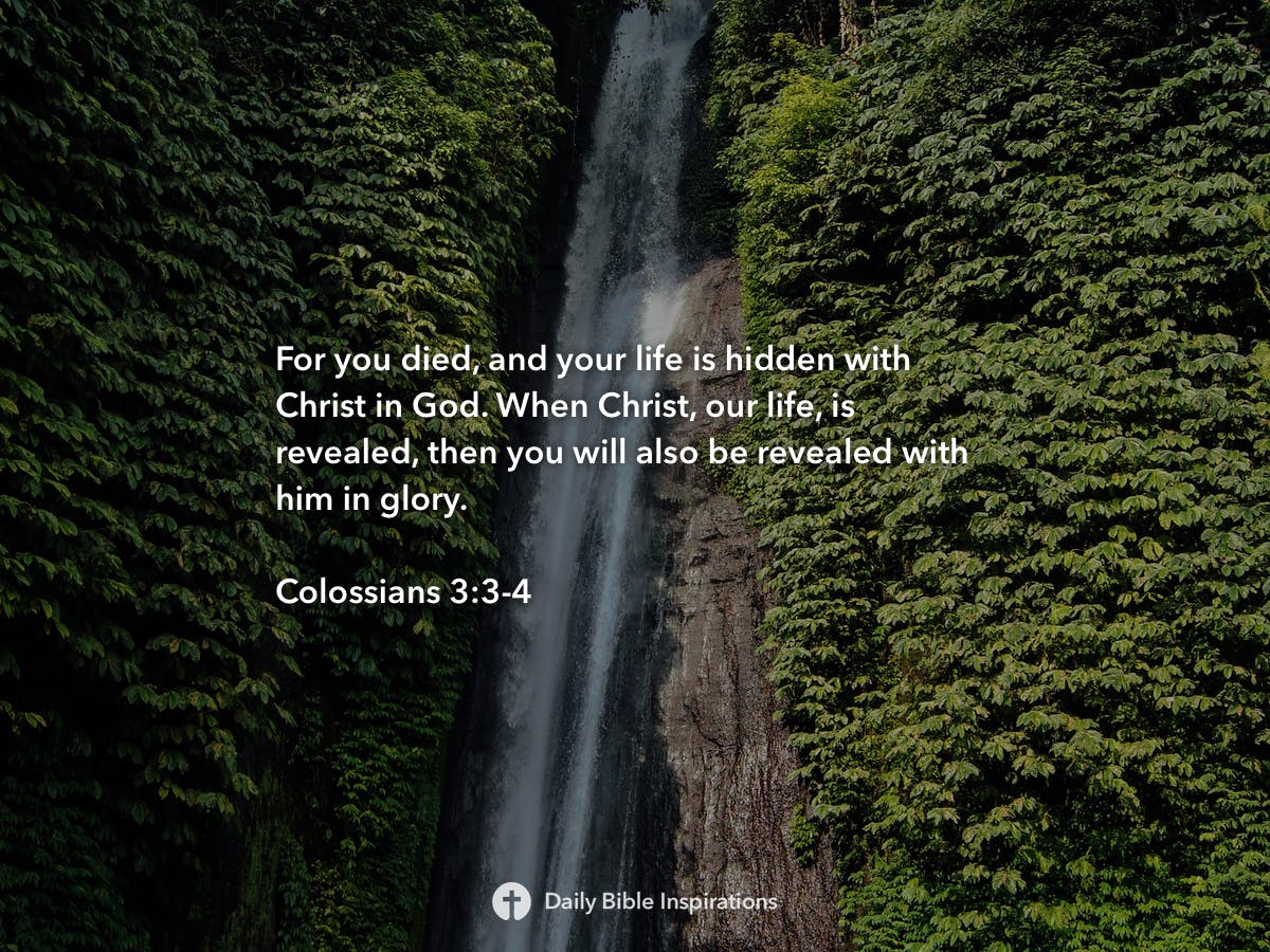 Colossians 3:3-4 - Daily Bible Inspirations