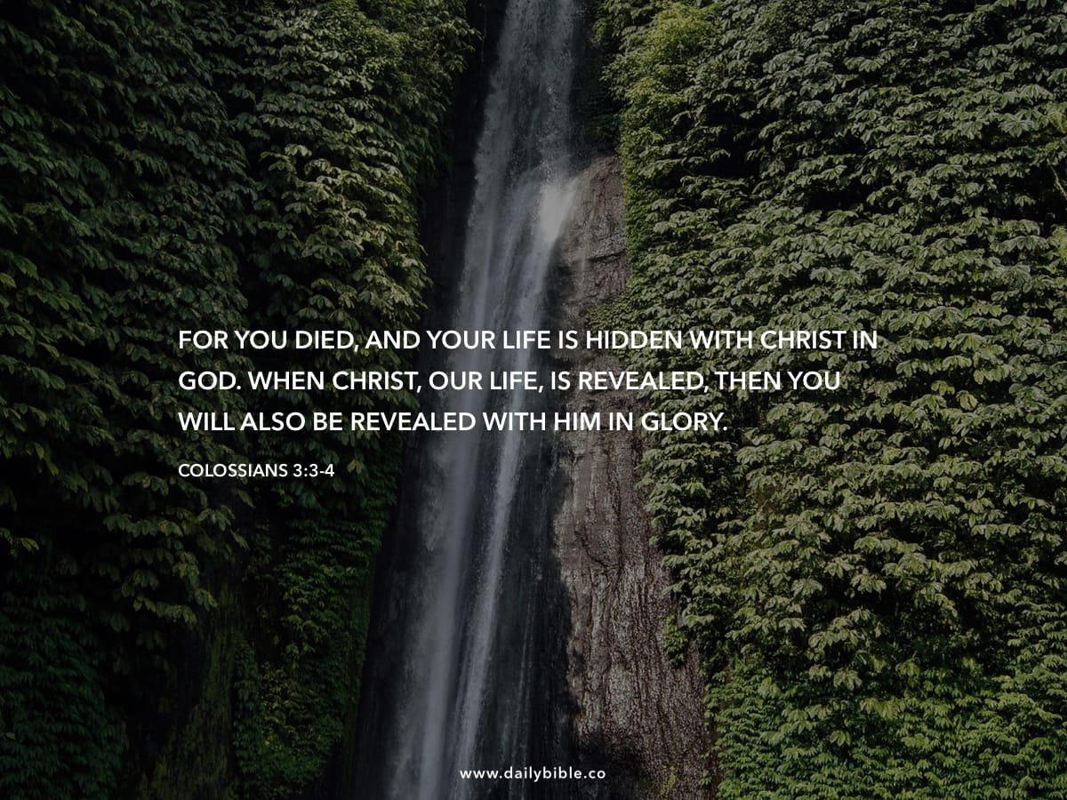 Colossians 3:3-4 - Daily Bible Inspirations