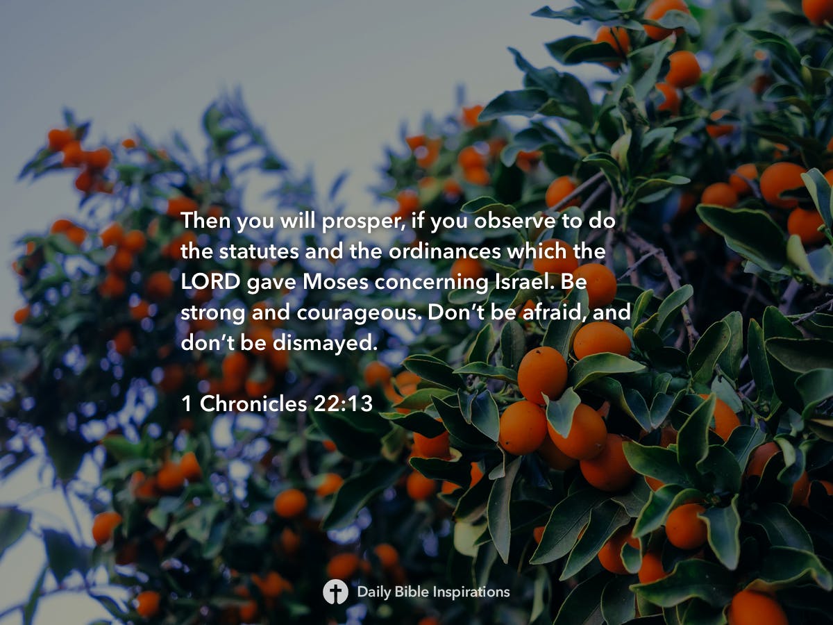1 Chronicles 22:13 - Daily Bible Inspirations