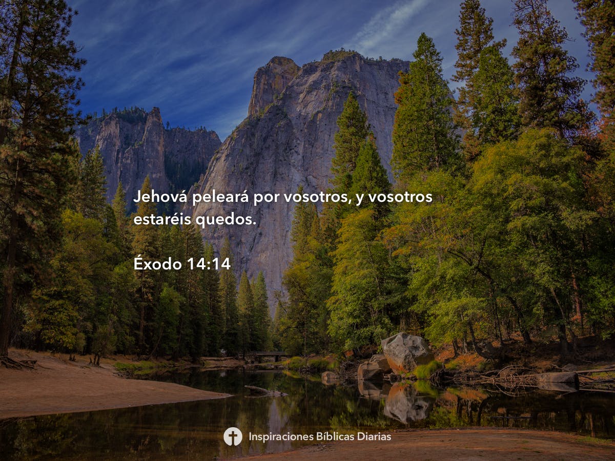 Éxodo 14:14 | Inspiraciones Bíblicas Diarias