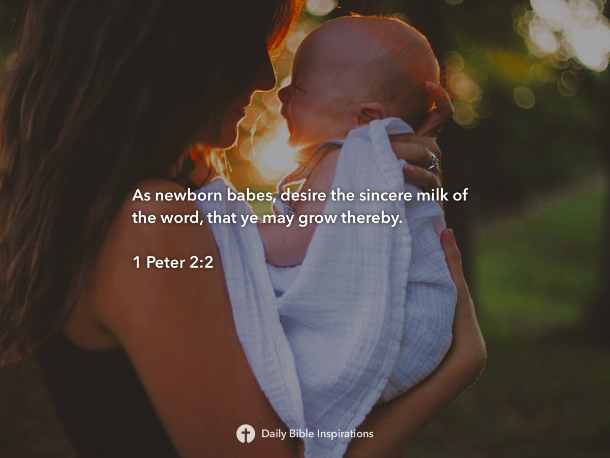 1 Peter 2:2 - Daily Bible Inspirations