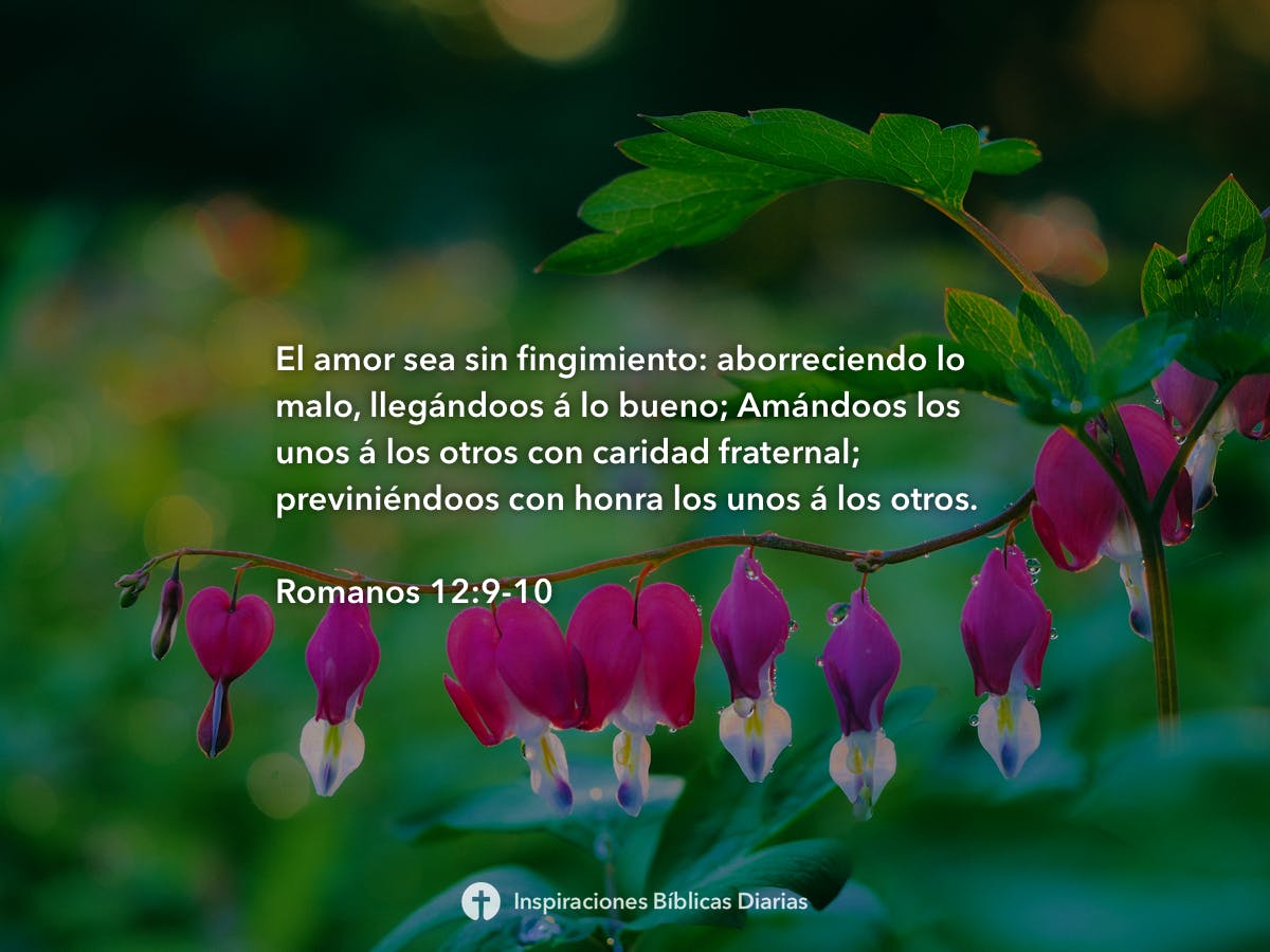 Romanos 12:9-10 - Inspiraciones Bíblicas Diarias
