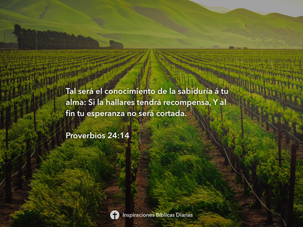 Proverbios 24:14 | Inspiraciones Bíblicas Diarias