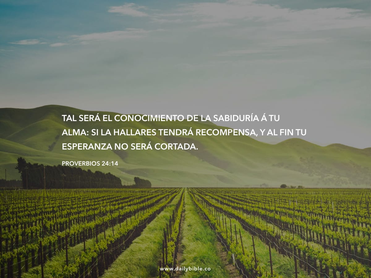 Proverbios 24:14 - Inspiraciones Bíblicas Diarias