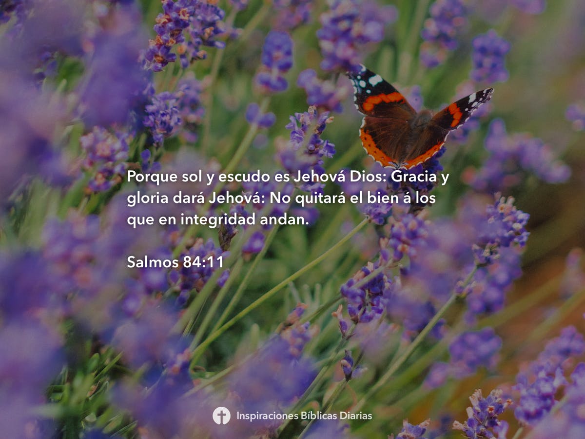 Salmos 84:11 - Inspiraciones Bíblicas Diarias