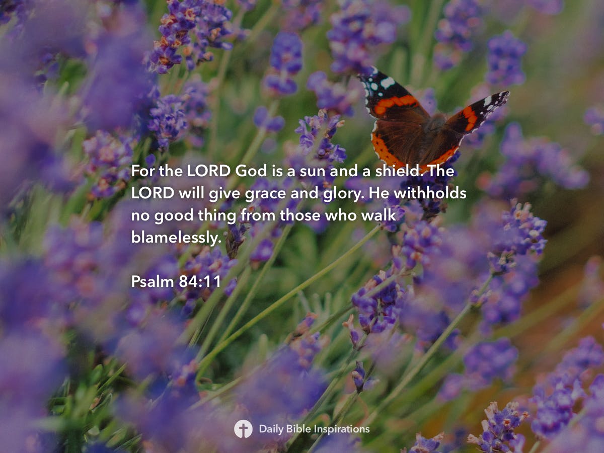 Psalm 84 11 Daily Bible Inspirations