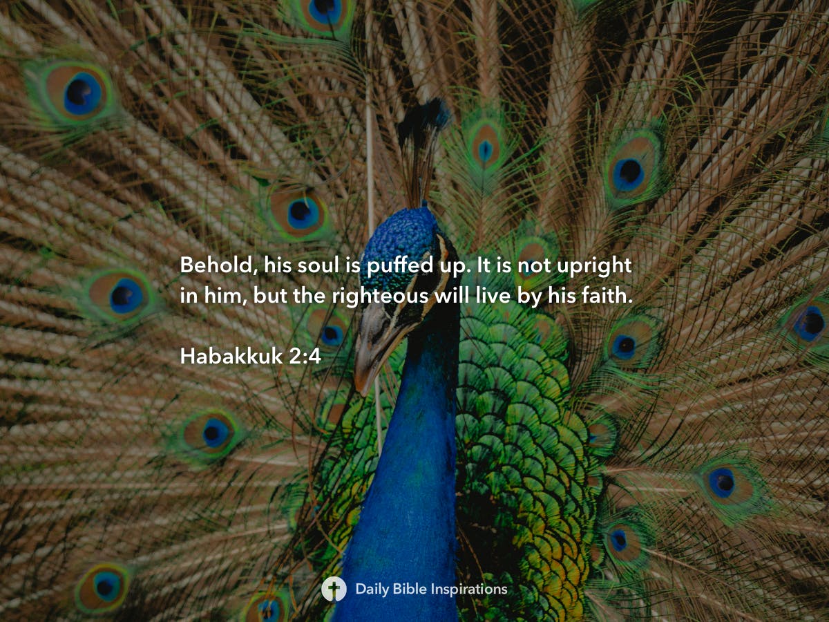 Habakkuk 2:4 | Daily Bible Inspirations