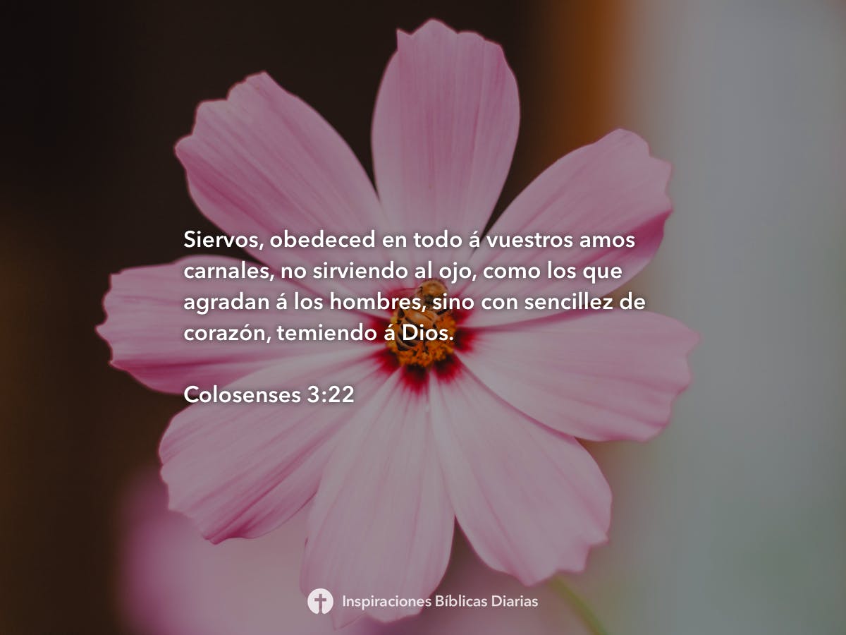 Colosenses 3:22 - Inspiraciones Bíblicas Diarias