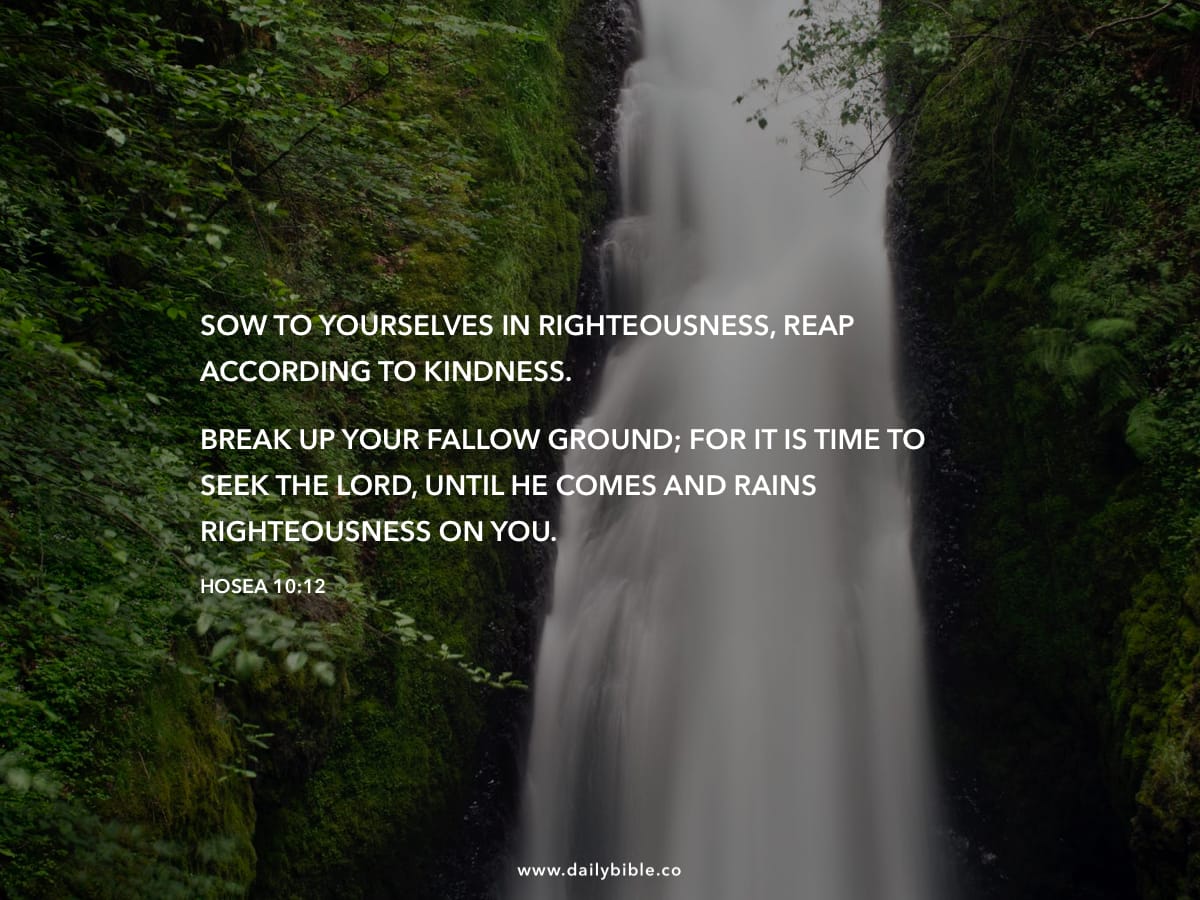 Hosea 10:12 - Daily Bible Inspirations