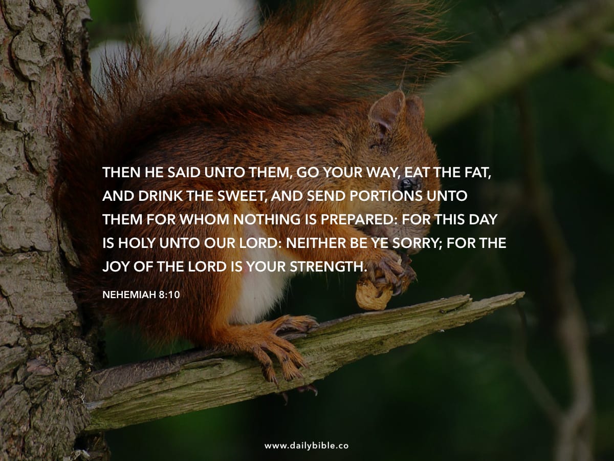 Nehemiah 8:10 - Daily Bible Inspirations