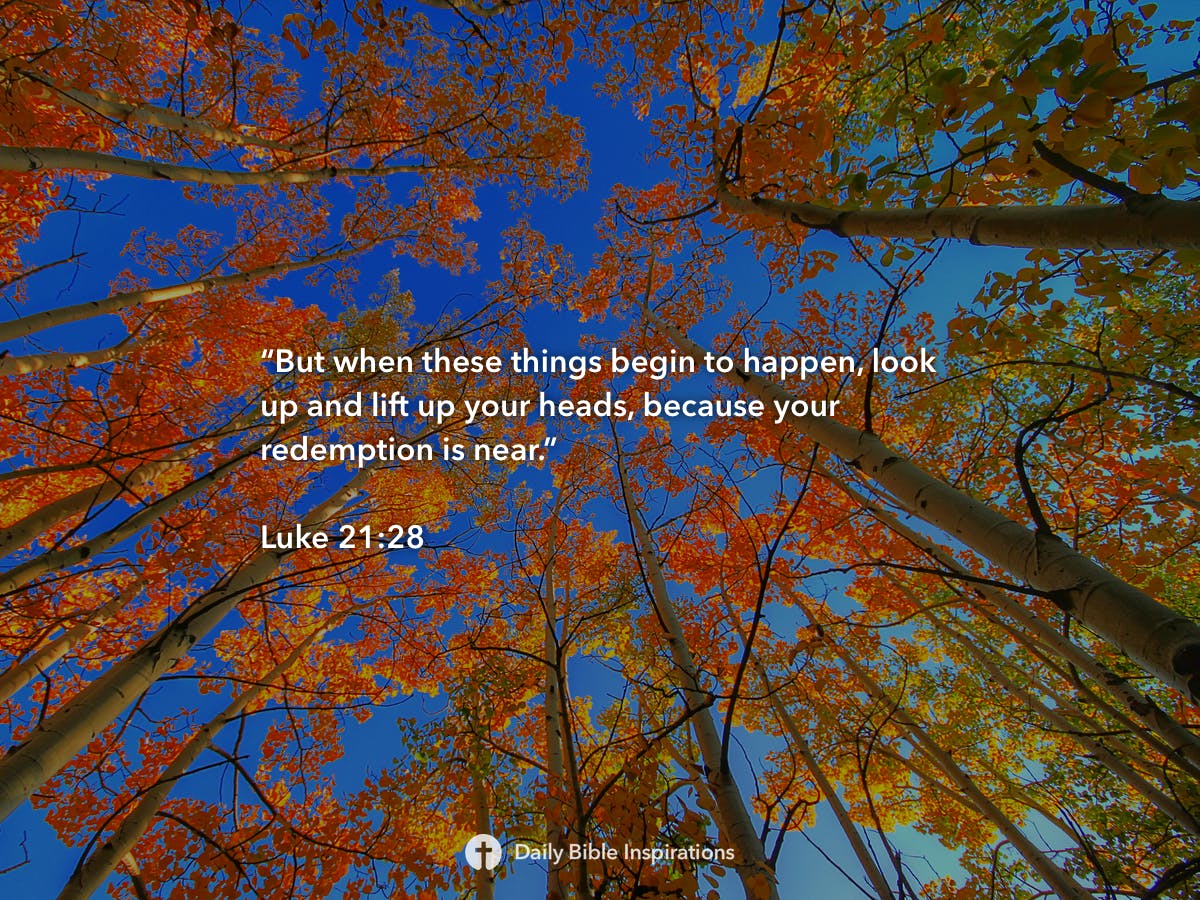 Luke 21:28 - Daily Bible Inspirations