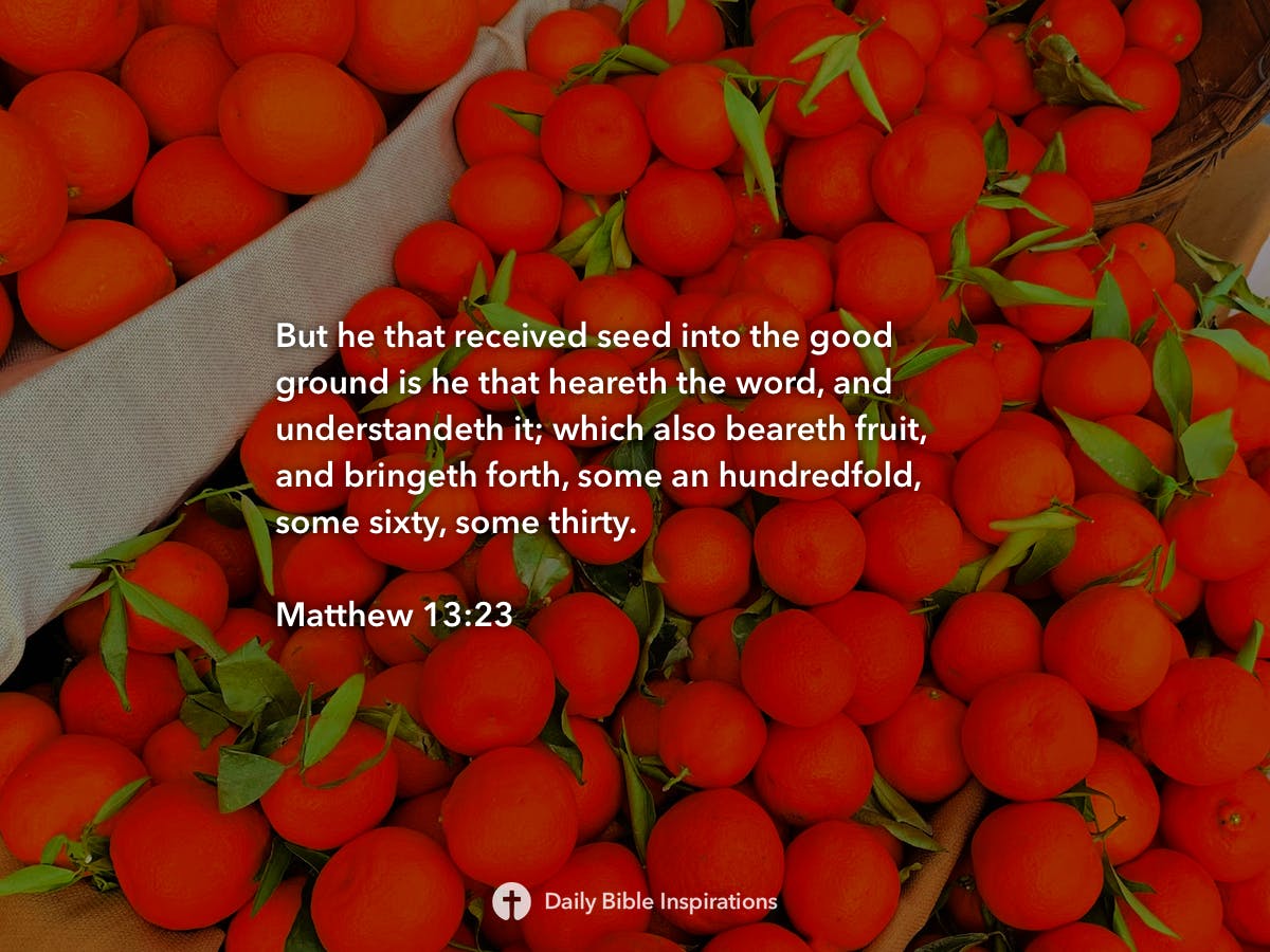 Matthew 13:23 - Daily Bible Inspirations
