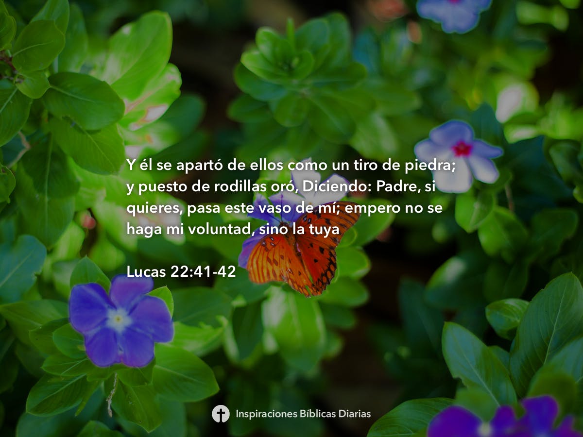 Lucas 22:41-42 | Inspiraciones Bíblicas Diarias