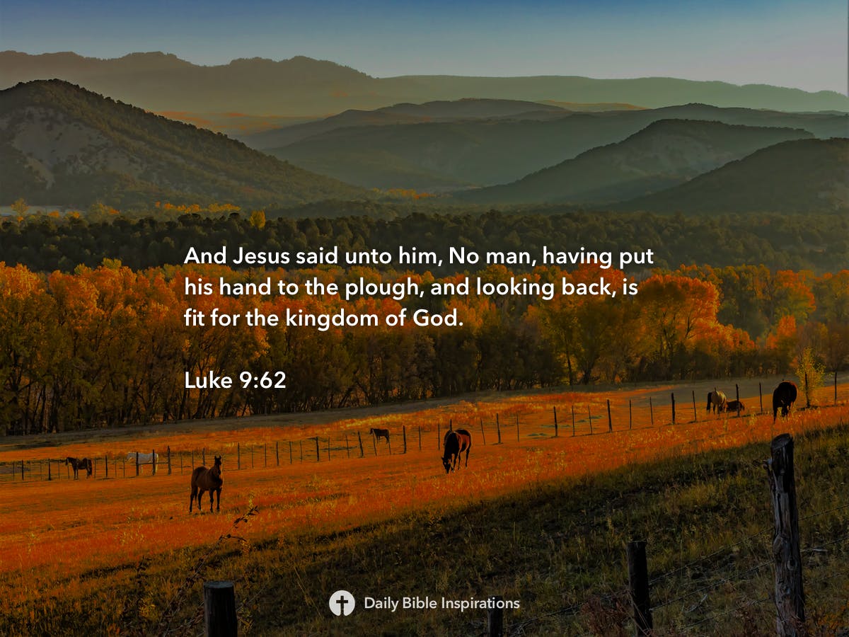 Luke 9:62 - Daily Bible Inspirations
