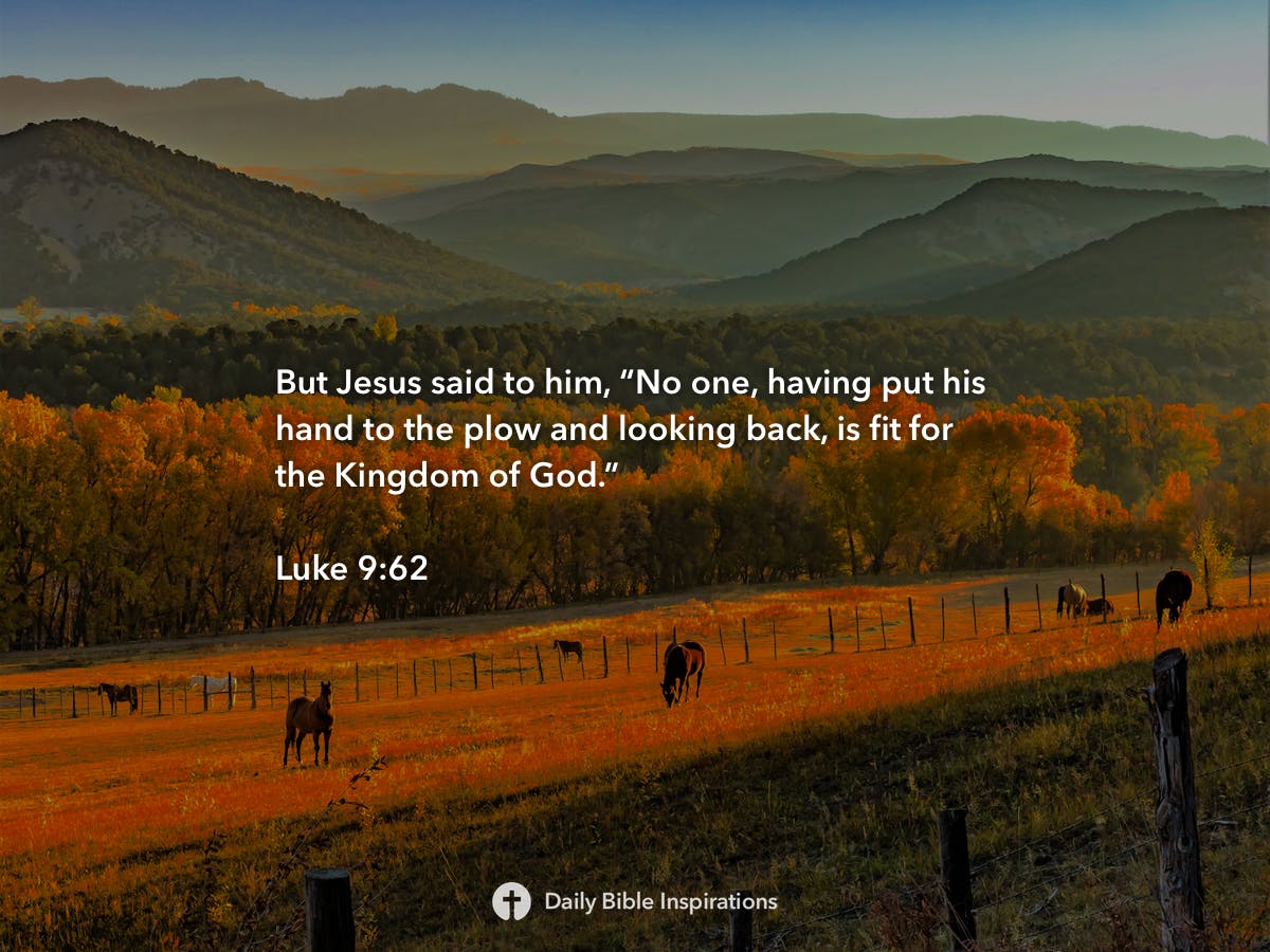 Luke 9:62 - Daily Bible Inspirations