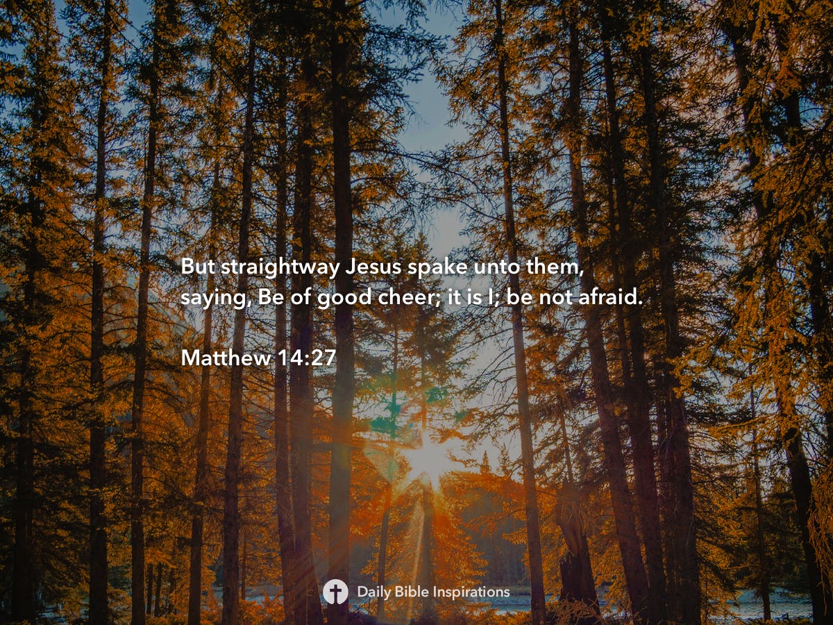 Matthew 14:27 - Daily Bible Inspirations