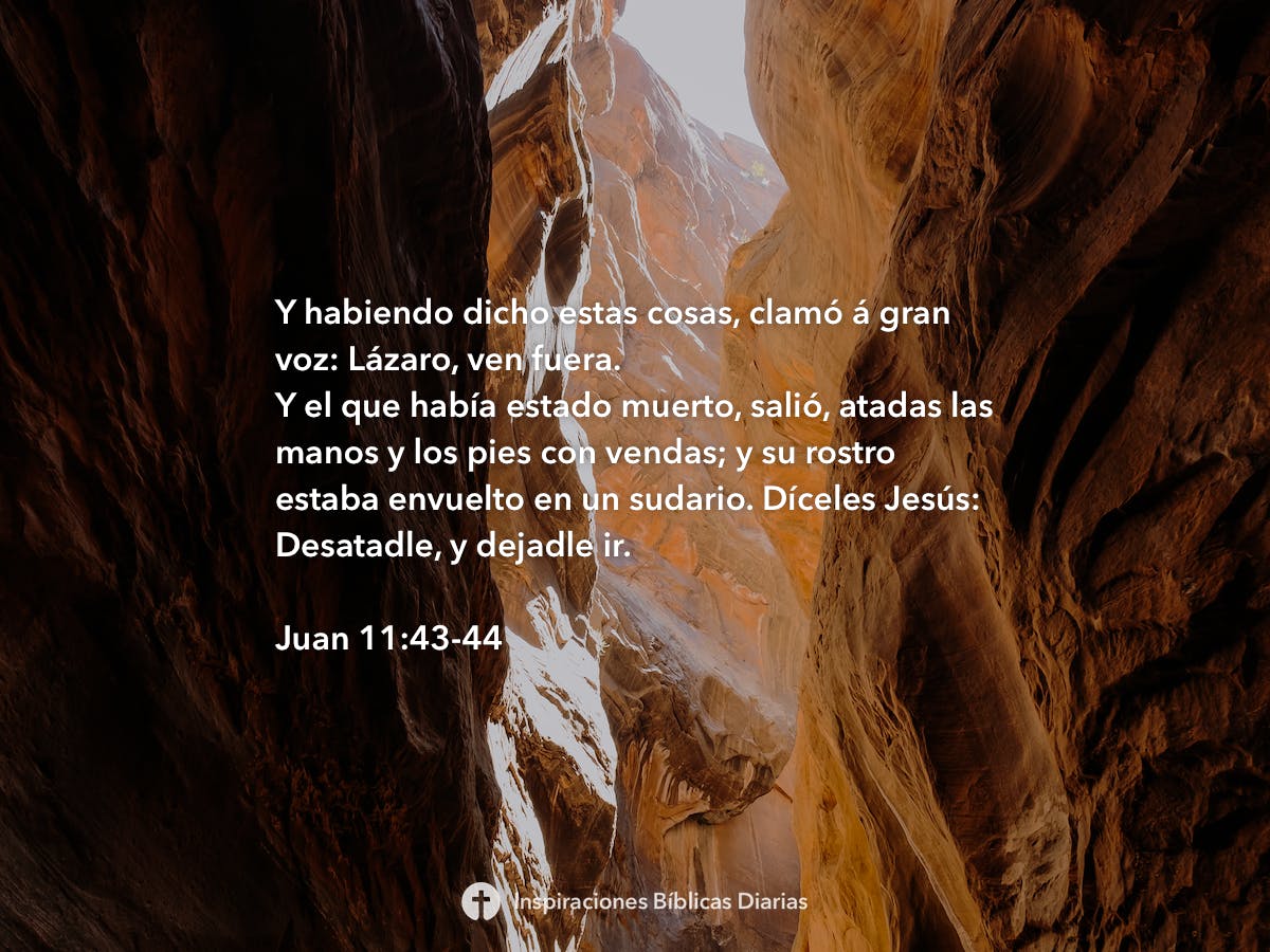 Juan 11:43-44 - Inspiraciones Bíblicas Diarias