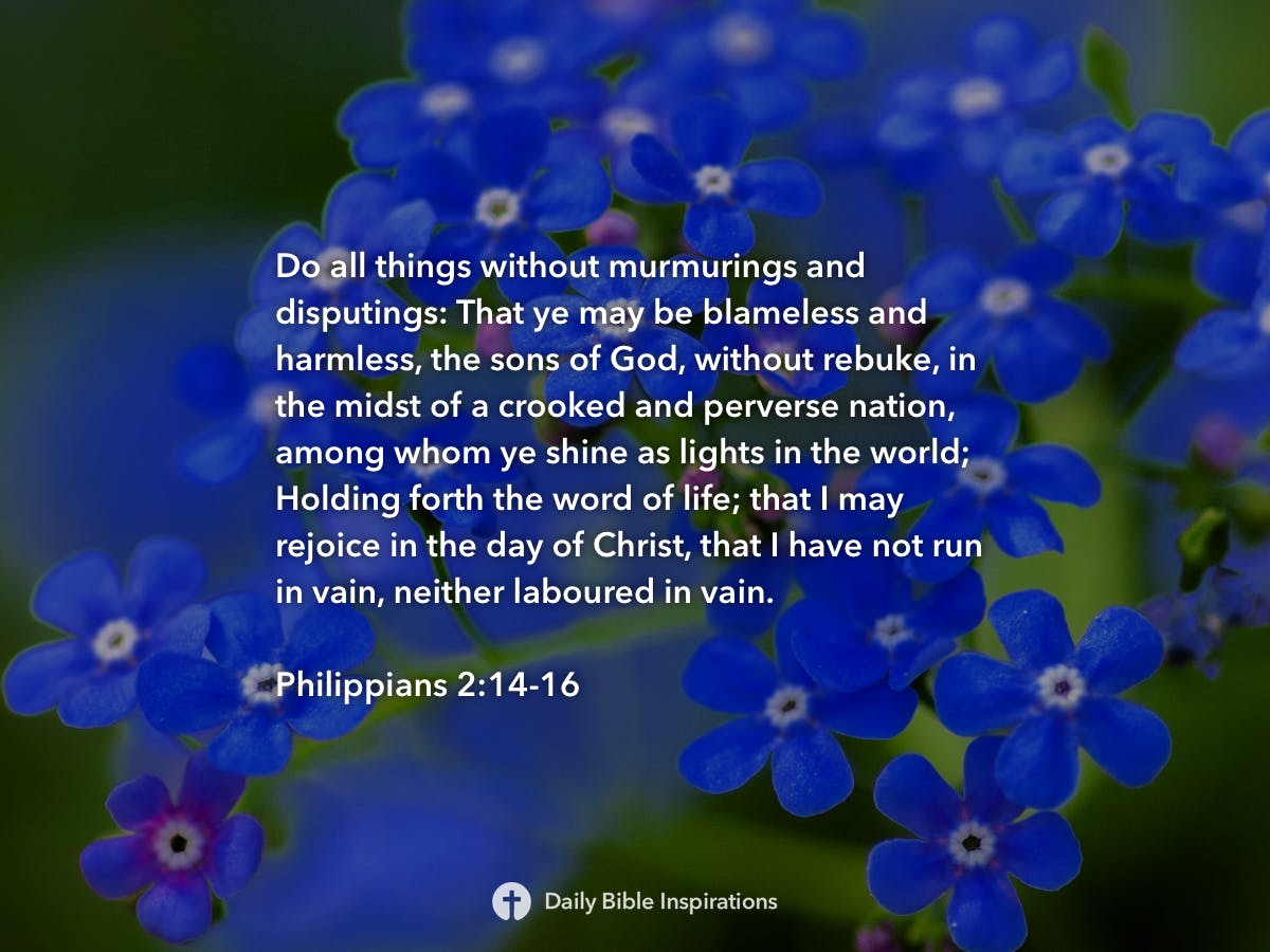 Philippians 2:14-16 | Daily Bible Inspirations