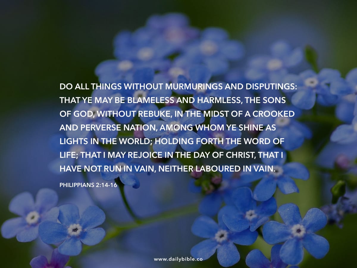 Philippians 2:14-16 - Daily Bible Inspirations