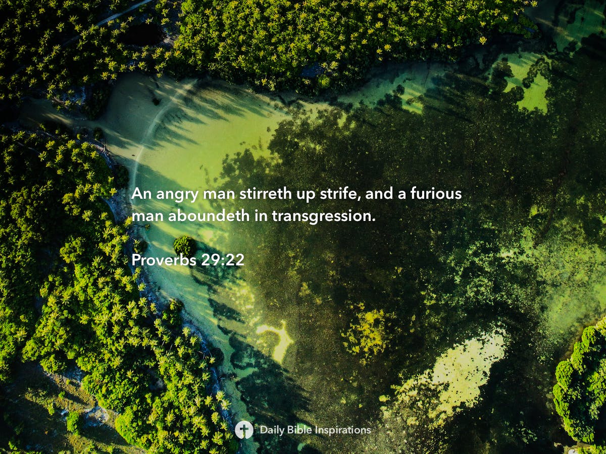 Proverbs 29:22 - Daily Bible Inspirations
