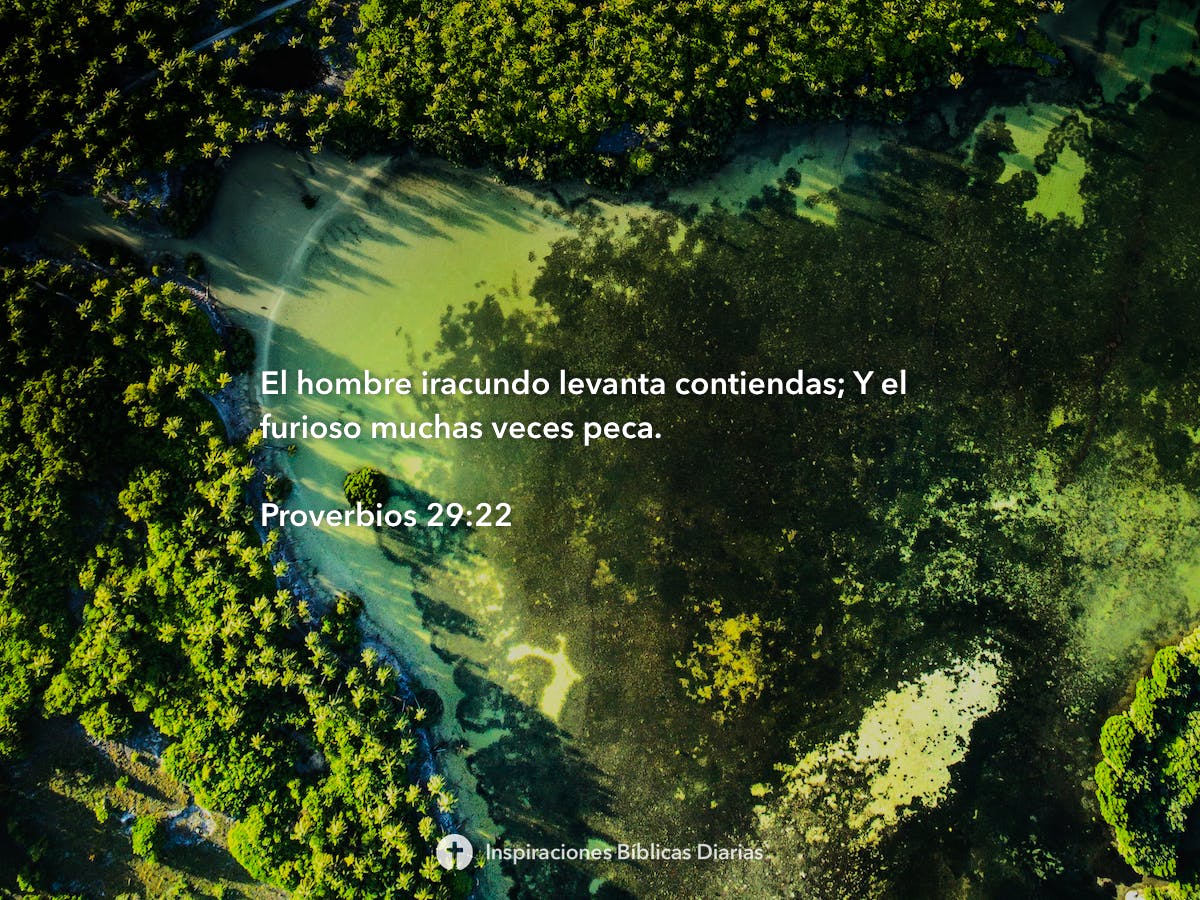 Proverbios 29:22 - Inspiraciones Bíblicas Diarias