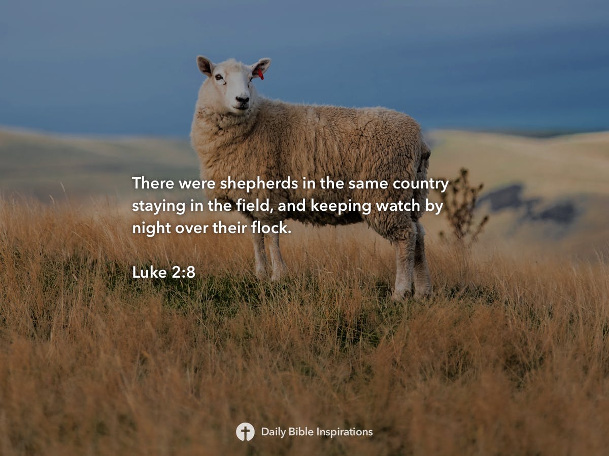 Luke 2:8 - Daily Bible Inspirations