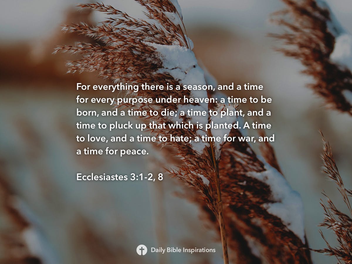 Ecclesiastes 3:1-2, 8 | Daily Bible Inspirations