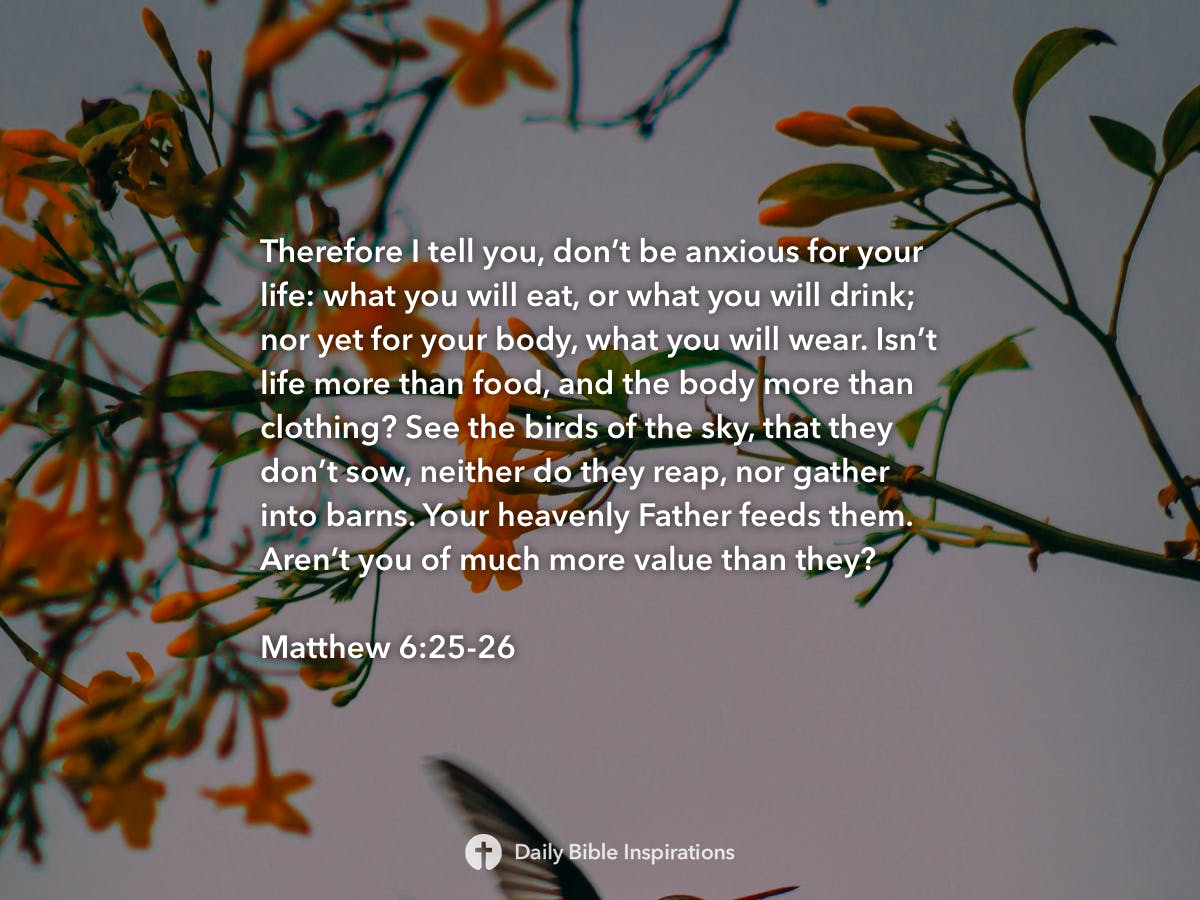 Matthew 6:25-26 | Daily Bible Inspirations
