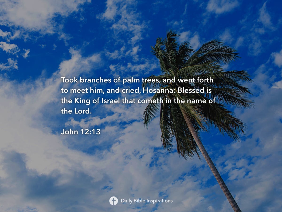 John 12 13 Daily Bible Inspirations