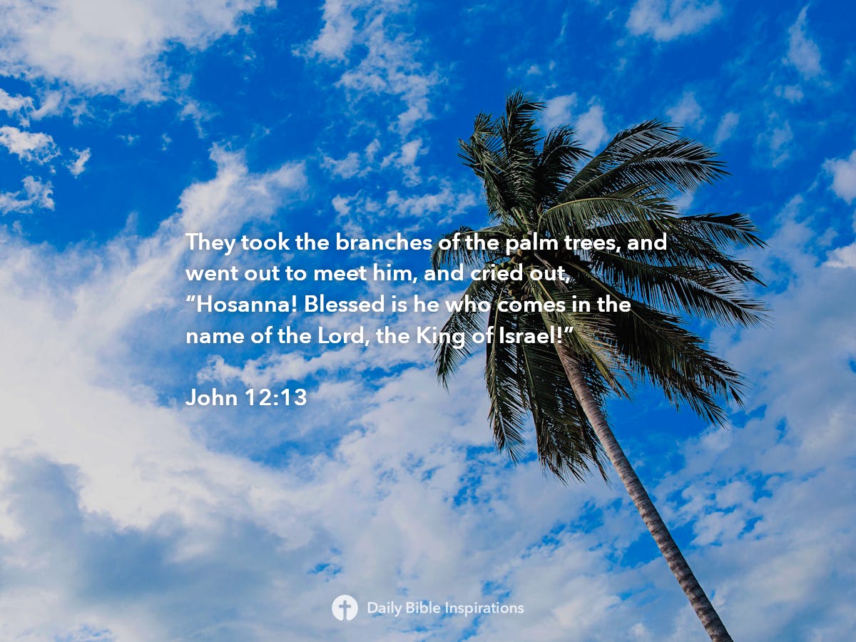John 12:13 - Bible Inspirations