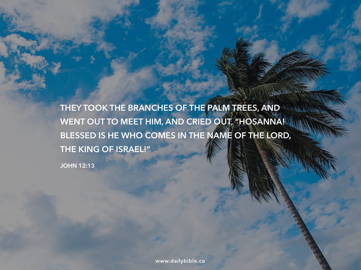 John 12:13 - Daily Bible Inspirations