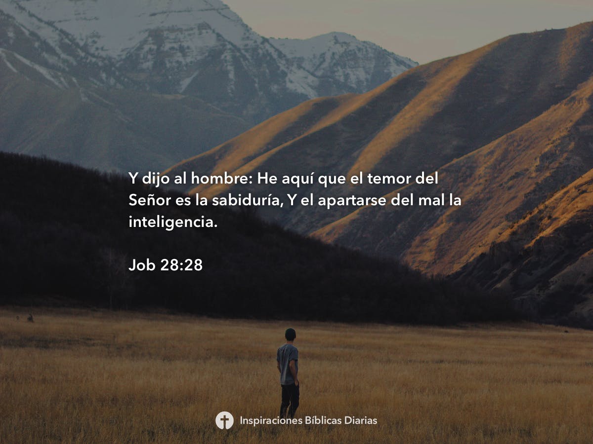 job-28-28-inspiraciones-b-blicas-diarias