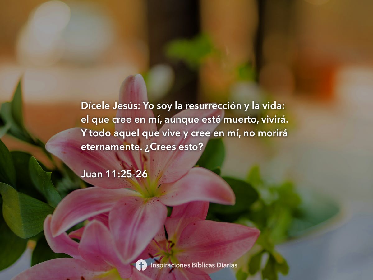 Juan 11:25-26 - Inspiraciones Bíblicas Diarias