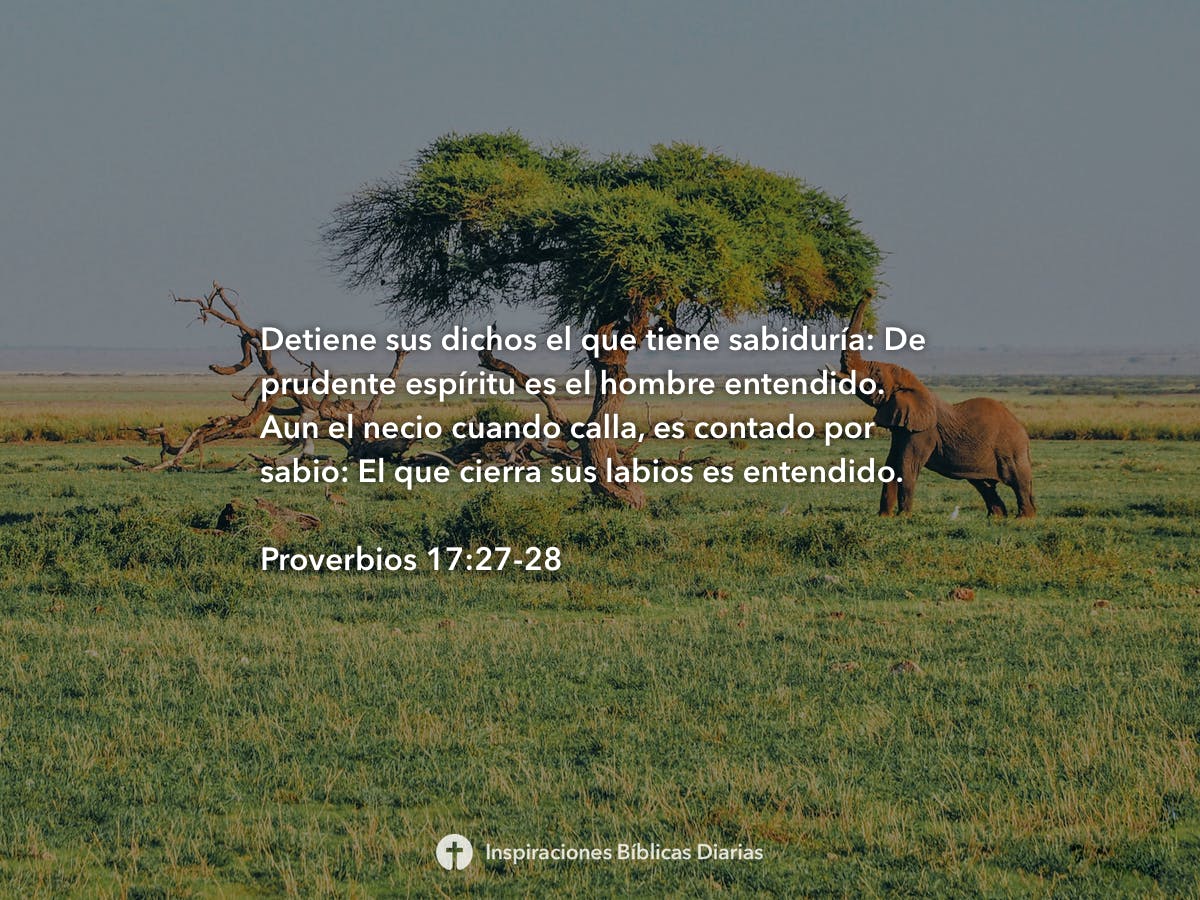 Proverbios 17:27-28 - Inspiraciones Bíblicas Diarias